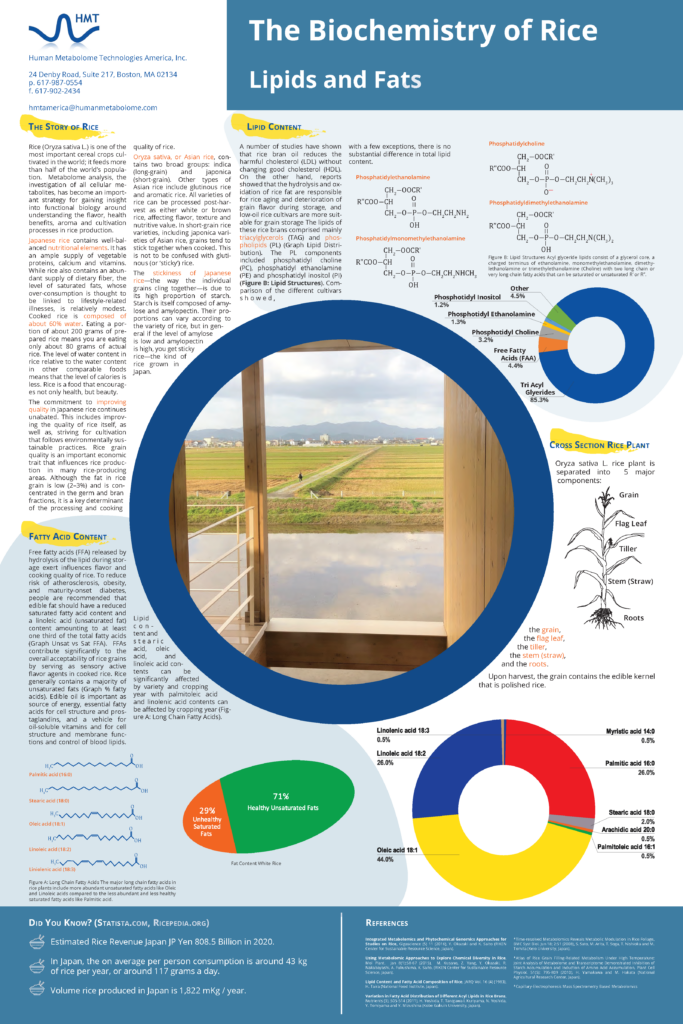 HMT Food Metabolomics | Metabolite Levels | Functional Food